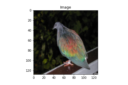 CSE 599G1 Final Project Image Segmentation
