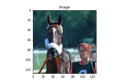 CSE 599G1 Final Project Image Segmentation